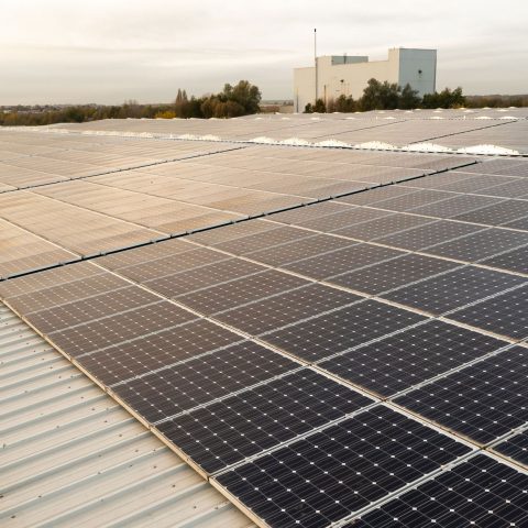 Services - LYNX Sustainable Solutions
